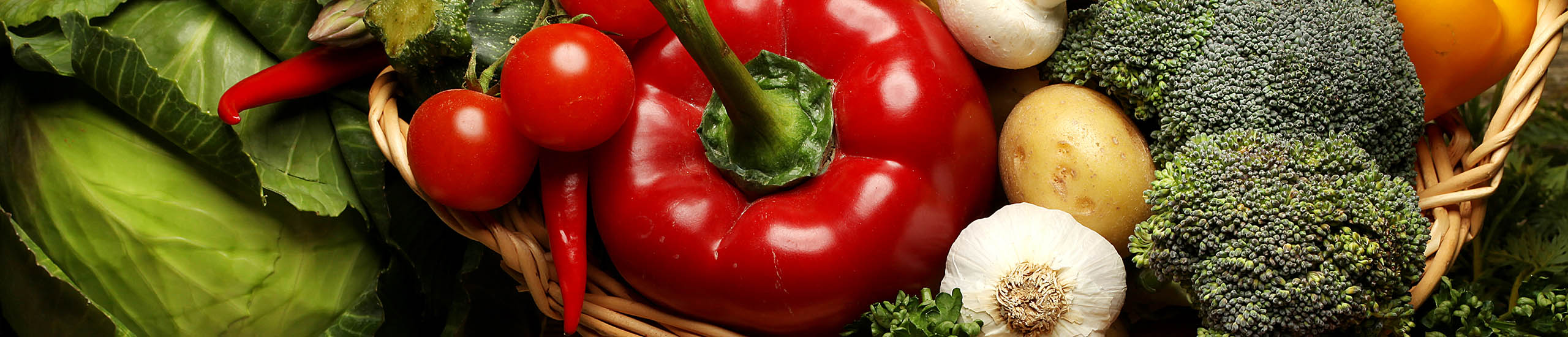 Camerons Tearoom near Foyers & Farm Shop | Inverness Things to Do