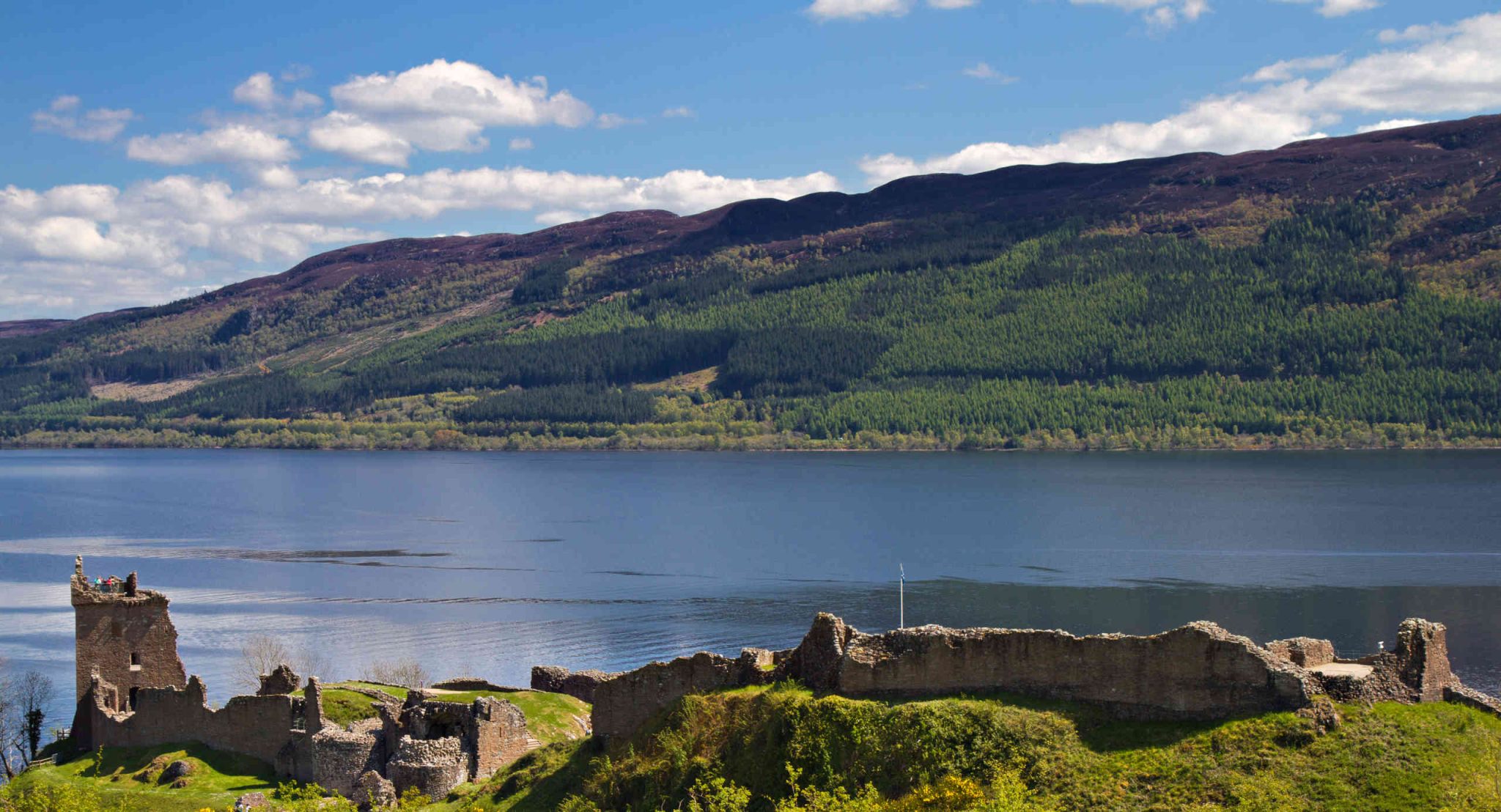 Looking for Inverness events 2025 | blog | Inverness Things To Do